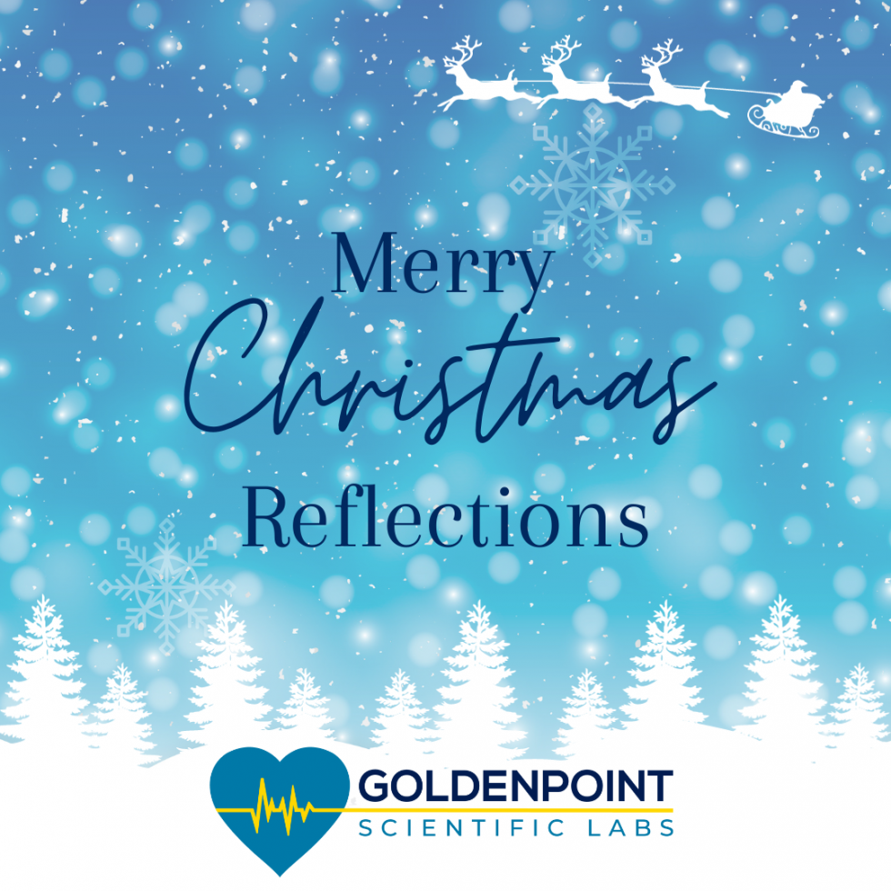 A Week Before Christmas Reflection - Celebrating Achievements and ...